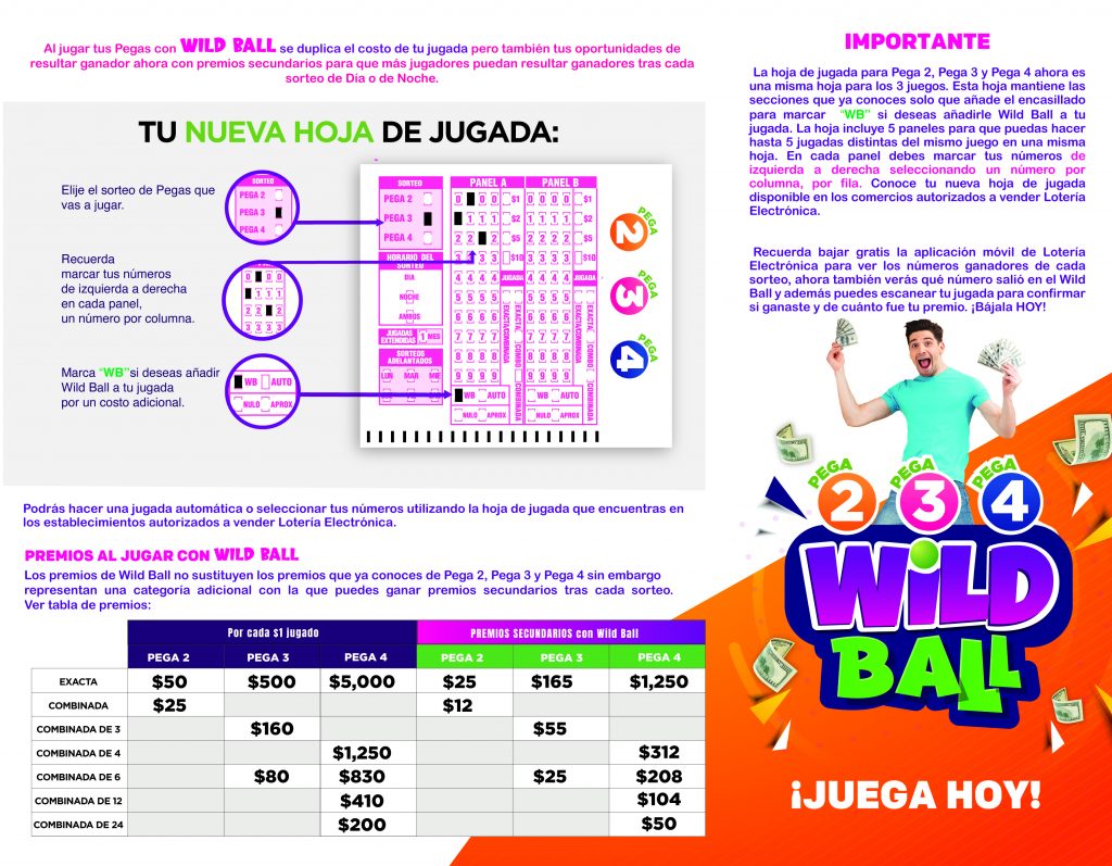 Lotería Electrónica anuncia nueva oportunidad para ganar con Wild Ball